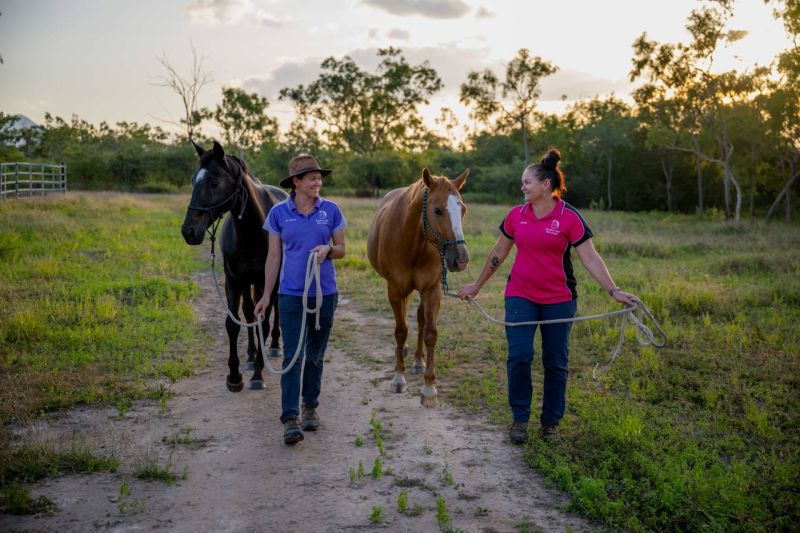Equine Vet Services | About Us and Our Team